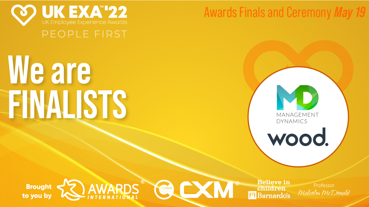 Insights – Management Dynamics